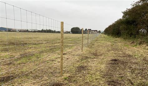Deer Fencing Energy Sector Thompsons Fencing Services Ltd
