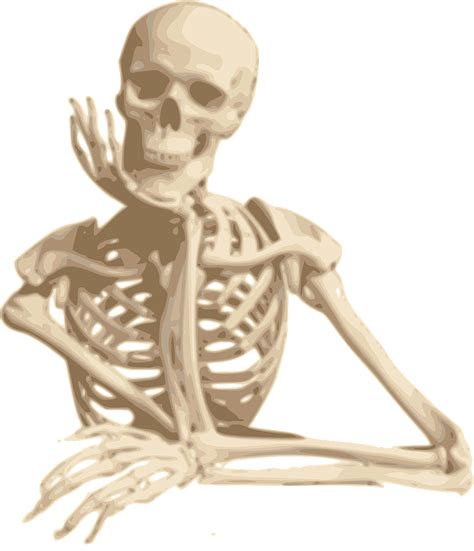 Explore 34,559+ Free Skeleton Cartoon Illustrations: Download Now - Pixabay