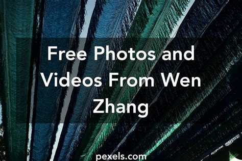 Wen Zhang Photography