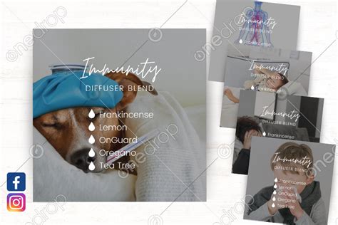 Immunity Diffuser Blend Bundle By Kristen Ramirez