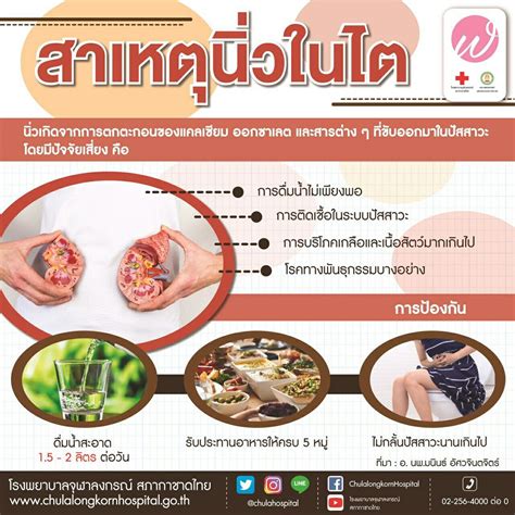 ปักพินโดย Kantima Parinrum ใน เกร็ดความรู้ สุขภาพ การดูแลสุขภาพ สุขภาพ ฟิตเนส