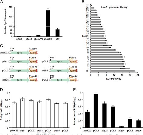 Figure 3 From Engineering An Iterative Polyketide Pathway In Escherichia Coli Results In Single
