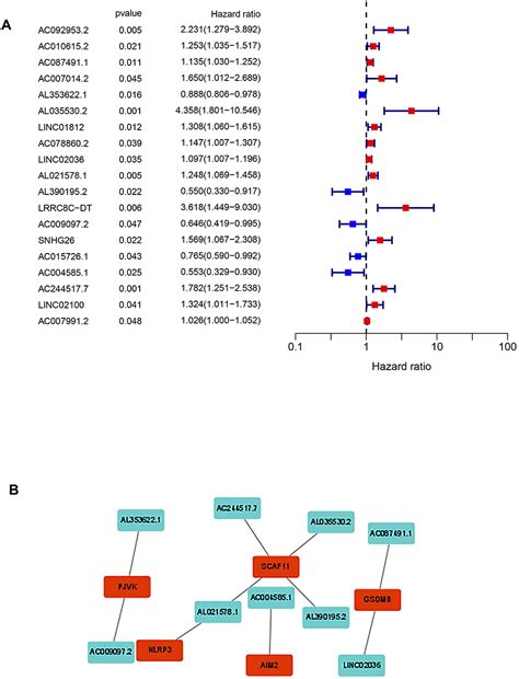 Nine Pyroptosis Related Lncrnas Are Identified As Biomarkers Ijgm