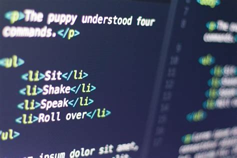 Web Computer Programming Source Code Picvale