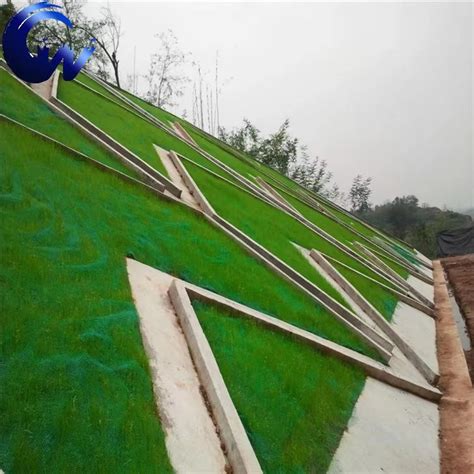 Vegetation Fixationslope Protectionthree Dimensional Geomat Ecological Vegetation Network For
