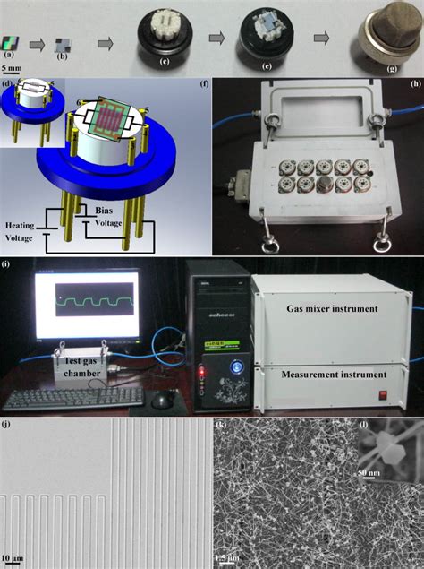 the sensor element and gas sensing characterization system a