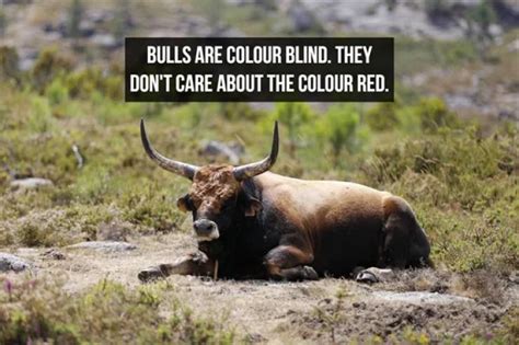 Thats A Very Common Misconception 20 Pics 1 