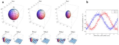 Quantum Process Tomography Qpt Of Dynamical Decoupling In Cold Atomic