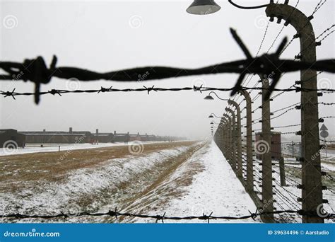 Barbed Wire Ww2 At Joseph Auricht Blog