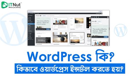 WordPress ক কভব ওযরডপরস ইনসটল করত হয