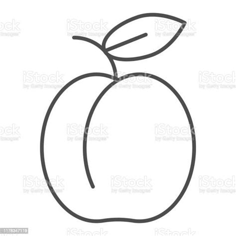 살구 얇은 선 아이콘입니다 여름 과일 벡터 그림 흰색에 격리 웹 및 앱을 위해 디자인 된 건강한 음식 개요 스타일 디자인 Eps 10 0명에 대한 스톡 벡터 아트 및 기타