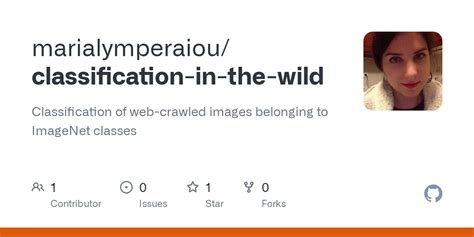 GitHub Marialymperaiou Classification In The Wild Classification Of Web Crawled Images