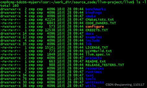 编译器 llvm clang 源码转换示例 xmake clang llvm config csdn博客