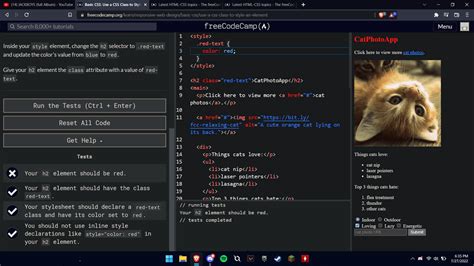 Basic Css Use A Css Class To Style An Element Html Css The