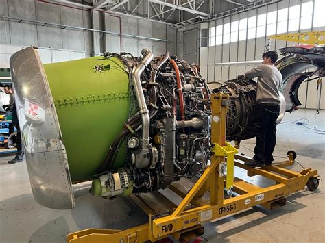 Elda Subashi Posted On Linkedin