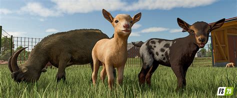 News Farming Simulator