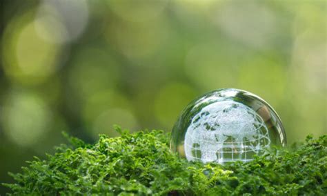 Asia Leads The Way In Resource Dependency