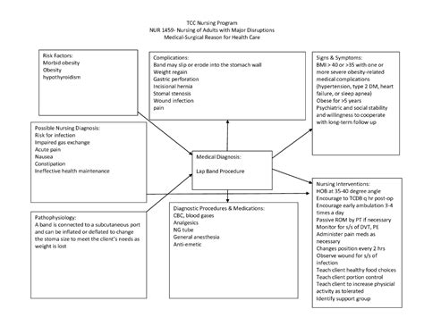 Free Templates For Care Maps Of Concept Map Templates Hierarchical