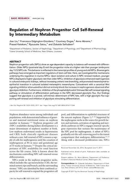 regulation of nephron progenitor cell self renewal by intermediary