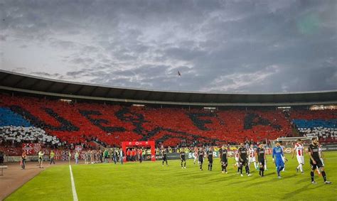 Делије Ариље