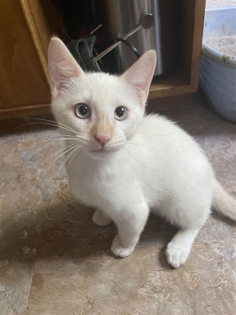 Xen Looking Into My Soul Rdisneyeyes