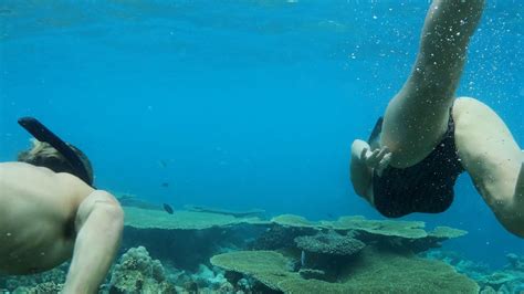 Nude Video Celebs Jocelyn Hudon Sexy Love In The Maldives 2023