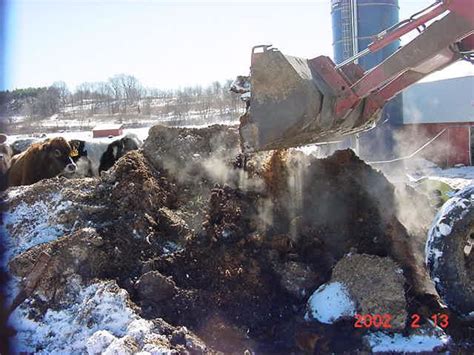 mortality composting guidelines