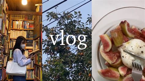 Vlog 임고생 브이로그 일상 브이로그 자취 브이로그 가을좋아 인간의 일주일 무화과로 3일 나기 뿌링클