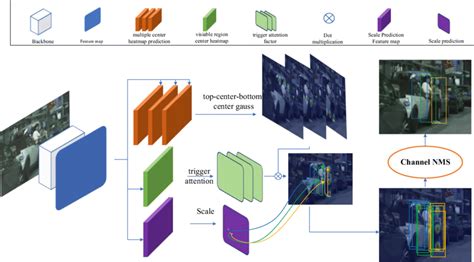 The Overall Architecture Of Multi Branch Detection Network Download
