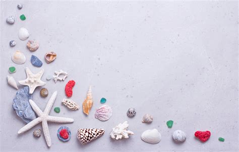 아름 다운 흰색 불가사리 조개 빨강 흰색과 파란색 산호 유리 바다 자갈 밝은 회색 현대 콘크리트 배경에 거짓말 해변에서 여름의