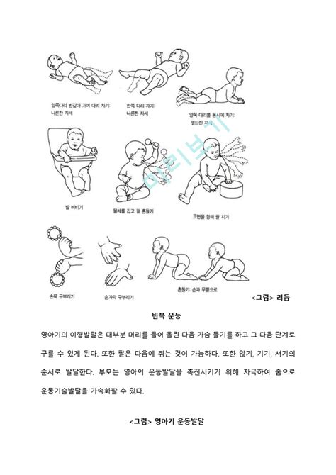 영아기 신체운동발달 자료실 영아의 신체발달키몸무게골격근육치아발달 두뇌발달 운동발달 Download Ju 두뇌발달치아발달 운동발달 목차 영아기