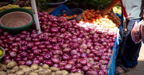 October 18, 2024 Onion Market Prices in MP and UP | KhetiVyapar