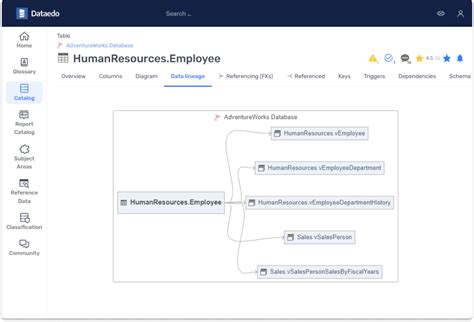Data Lineage Dataedo