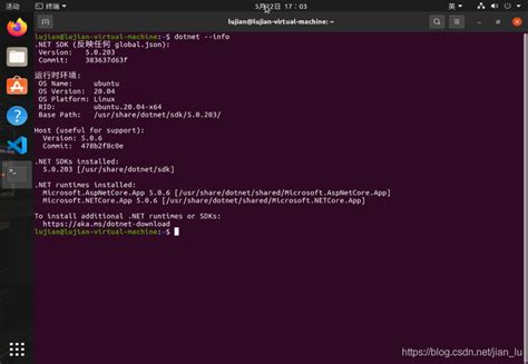 如何在ubuntu上运行net5控制台程序net控制台linux Csdn博客