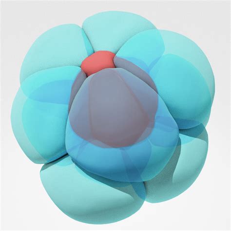 Moving Inward Establishing The Mammalian Inner Cell Mass Pmc