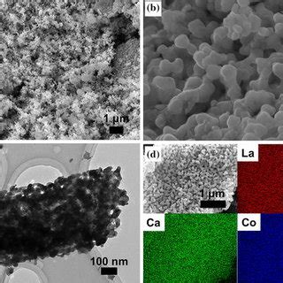 A B SEM Images C TEM Image And D EDX Elemental Mapping Of La Ca And Download Scientific