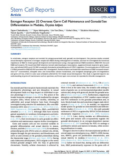 Pdf Estrogen Receptor β2 Oversees Germ Cell Maintenance And Gonadal
