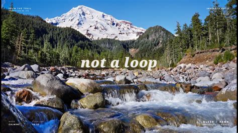 An Afternoon At Mount Rainier • 8k Nature Ambience Youtube