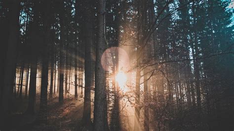 Wearing It By Natalie Devaull Robichaud Unbroken Journal