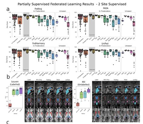 unifed a unified deep learning framework for segmentation of partially