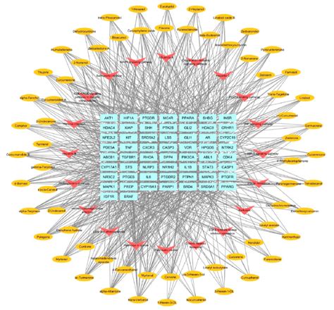 The Components Targets Pathways Network Displaying The Potential Download Scientific Diagram