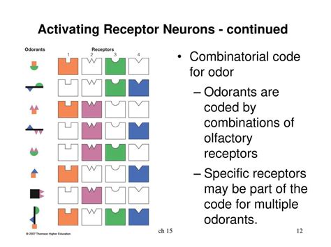 Sensation And Perception Ppt Download