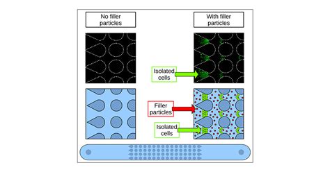 Exploiting Particle Mutual Interactions To Enable Challenging Dielectrophoretic Processes