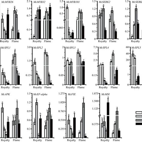 Jie Zhang Professor Doctor Of Philosophy University Of Science And Technology Of China