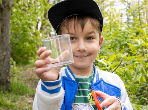 Tiny Forest begeistert Kinder für die Natur - Fröbel - Für Kinder