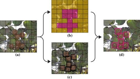 Detection Pipeline Of Yolo An × N Grids On Input B Predict Class