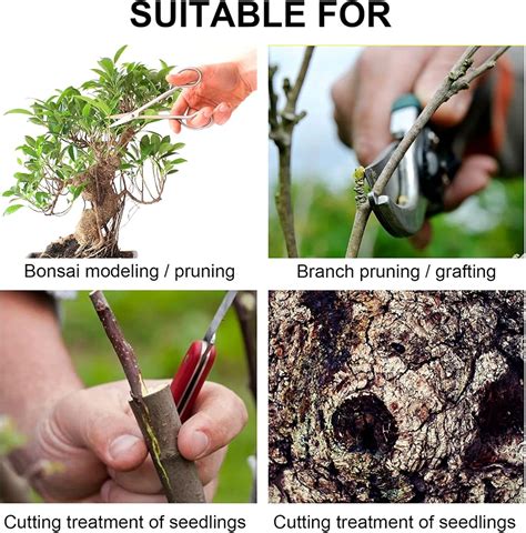 Buy Pruning Sealer Bonsai Cut Paste Tree Wound Dressing Tree Wound Cut