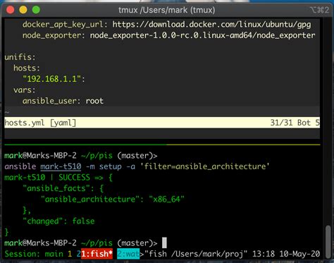 an argument for auto starting tmux