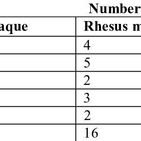 Age And Sex Composition Of Study Groups Download Scientific Diagram