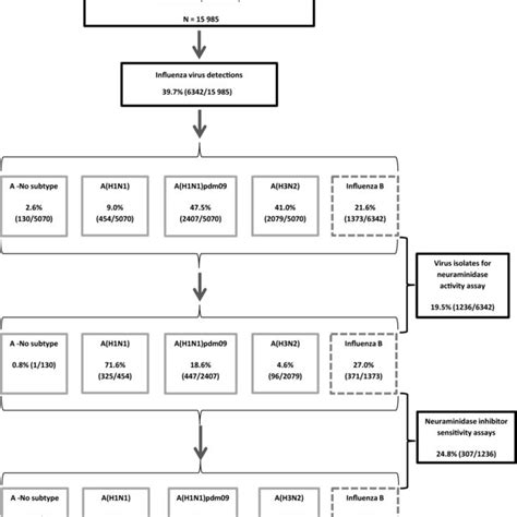 Flow Diagram Of Influenza Virus Detections Virus Isolates And Download Scientific Diagram